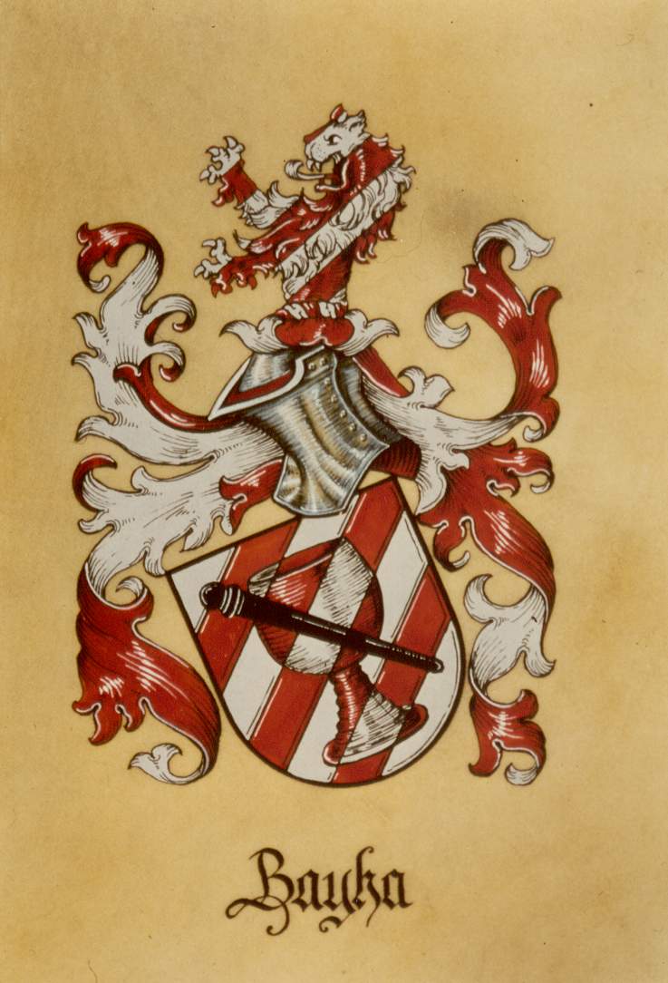 Coat of Arms – Bayha Family Genealogy